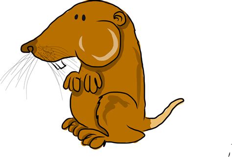 Download Pocket Gopher Mammal Cartoon Royalty Free Stock Illustration Image Pixabay