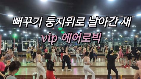 뻐꾸기 둥지 위로 날아간 새 Remix 광주 Vip에어로빅 Youtube