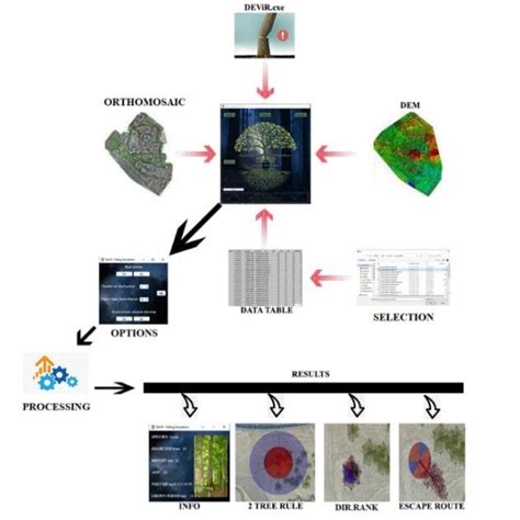 Work Flow Chart Realized Through Gui Download Scientific Diagram