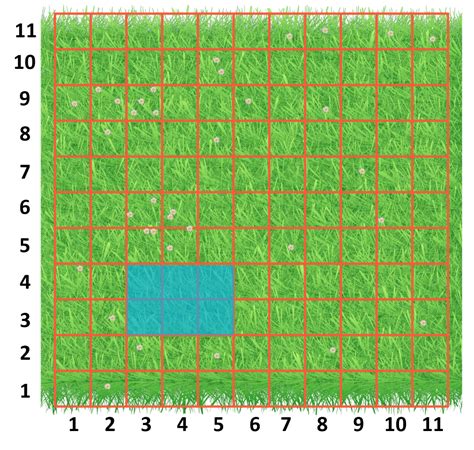 Sampling Worksheets Questions And Revision MME