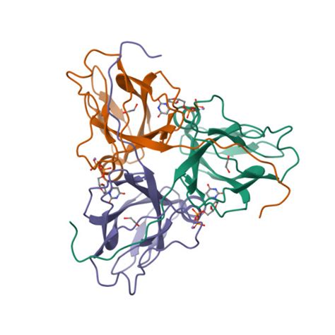 Rcsb Pdb 2hr6 Crystal Structure Of Dutpase In Complex With Substrate Analogue Dudp And Manganese