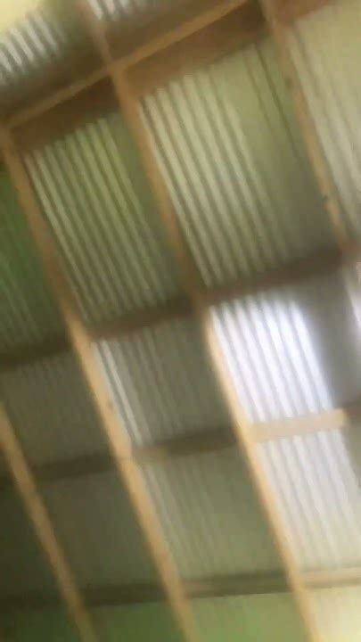 26 March 2025 Youtube