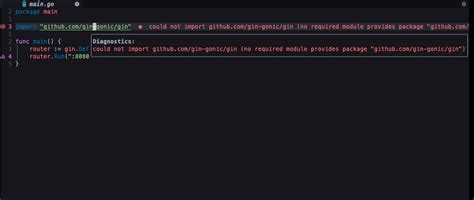 need help for lsp imported package and modules r neovim