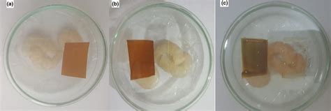 Development Of A Ph‐sensing Indicator For Shrimp Freshness Monitoring Curcumin And Anthocyanin