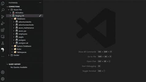 Postgresql Vscode Postgresql Stackoverflow Github Stripe Pgadmin Bigdatair