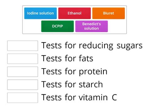 Food Tests Match Up