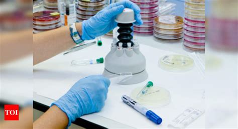 Non Invasive HTMA Tests Can Easily Detect Lead Levels In Body Times Of India