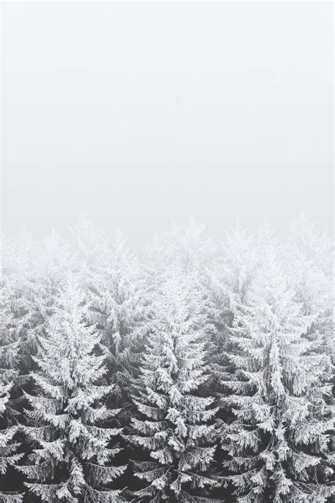 Muted Gray And White Gradient With A Frosty Grainy Overlay Stock