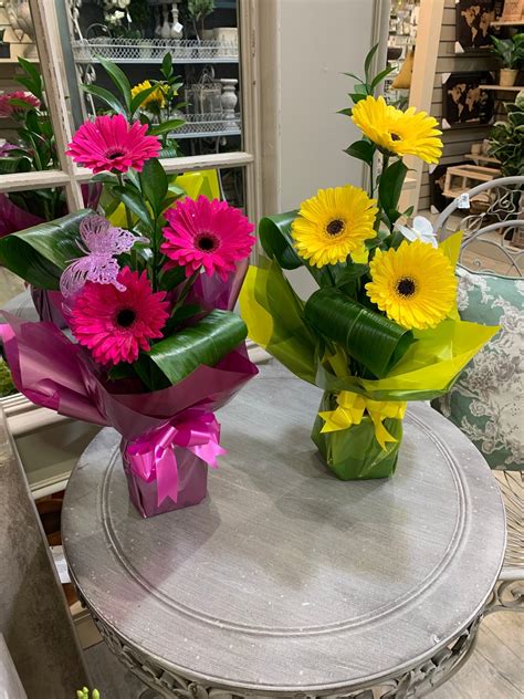 Gerbera Arrangement Wentworth Garden Centre