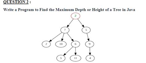 Solved I Understand Finding The Height Of A Binary Tree But Chegg