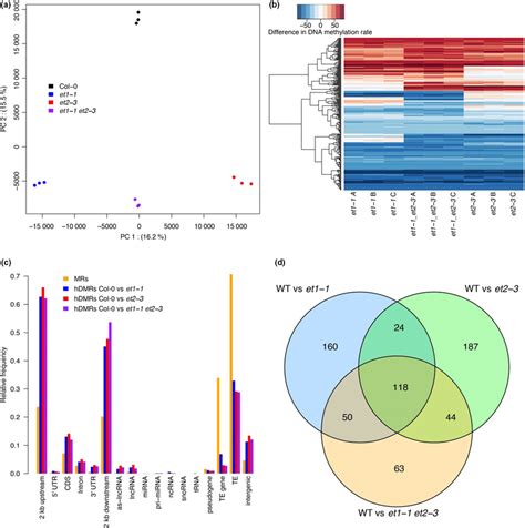 Genome Wide Methylation Analysis Of Arabidopsis Thaliana Et Mutants In Download Scientific