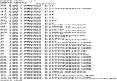 Macos Identify Process Using A Specific Port Stack Overflow