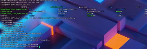 Invalid Record In Etchosts Leading To Panics · Issue 5584 · Adguardteamadguardhome · Github