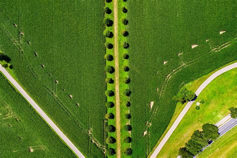 Dji Mini Return To Home Explained Droneblog