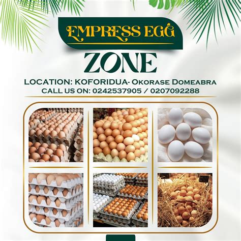 Egg Flyer Design Ideas 2024