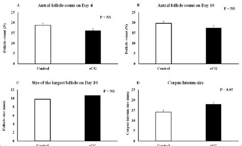 Ultrasound Results From Control And Ecg Treated Cows Synchronized With Download Scientific