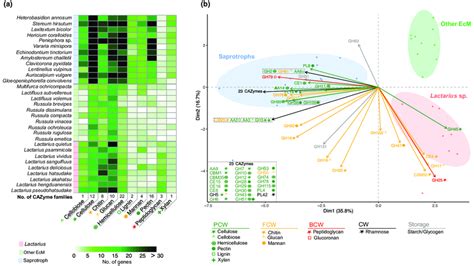 Differential Distribution Of Secreted Carbohydrate Active Enzyme Download Scientific Diagram