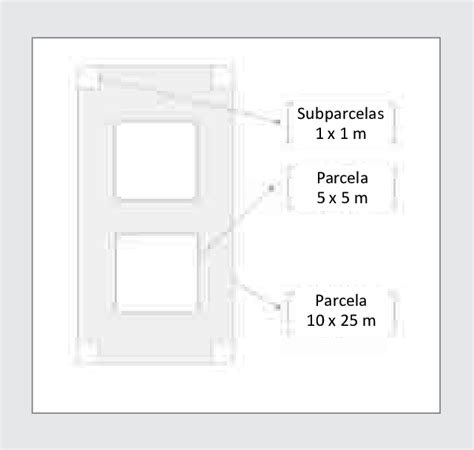 esquema de ubicación de las subparcelas en el muestreo puntual y lineal download scientific