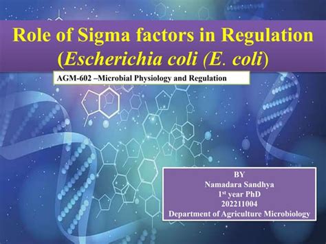 Role Of Sigma Factor Pptx