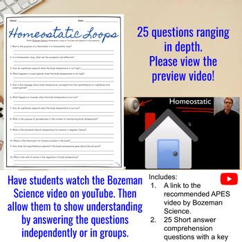 Homeostatic Loops Comprehensive Worksheet Bozeman Science TPT