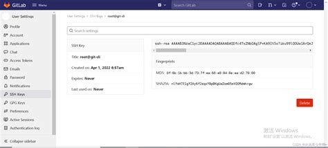 Cicd详解（九）——gitlab简单使用gitlib Setting Cicd 管理界面 Csdn博客
