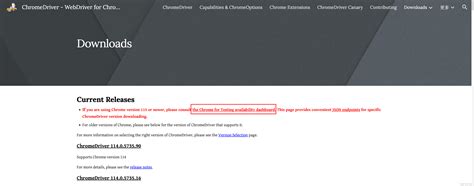 谷歌浏览器驱动chromedriver下载 csdn博客