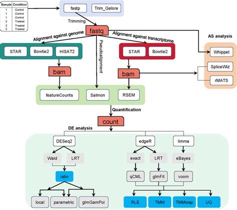 Rna Seq Analysis Workflow The Different Colored Boxes Represent Download Scientific Diagram