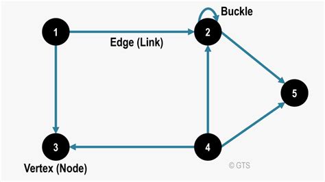 Is Graph Theory The Key To Understanding The Brain