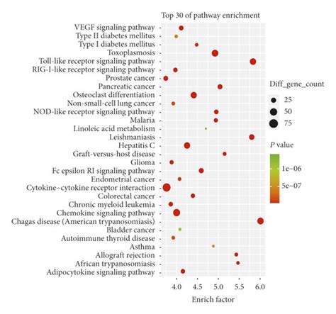 GO And Pathway Analysis Of The Targets Of Common Targets A The Top Download Scientific
