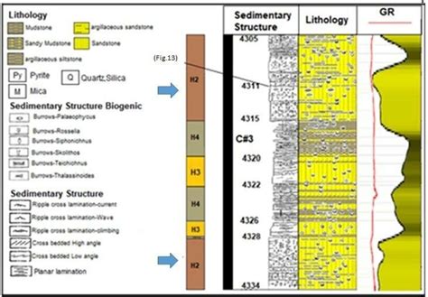 Sedimentological Log Of Core 3 4305 4315 And 4328 4334 Showing