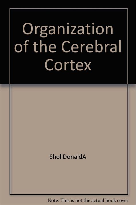 The Organization Of The Cerebral Cortex Movies And Tv