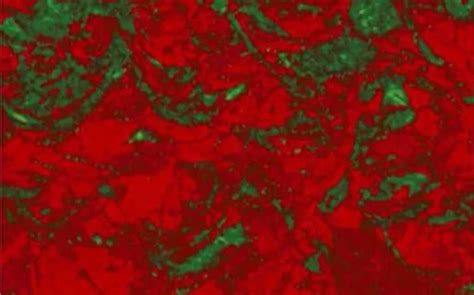 In Situ Alloying During Additive Manufacturing Smam Paul Scherrer Institut Psi