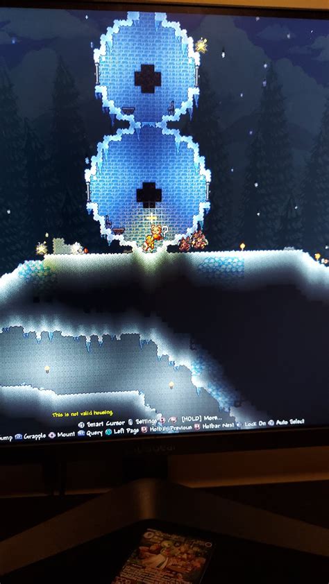 Can Anyone Explain Why Its Not Valid Rterraria