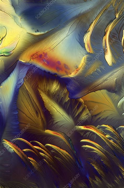 Vitamin C Light Micrograph Stock Image C025 7356 Science Photo Library