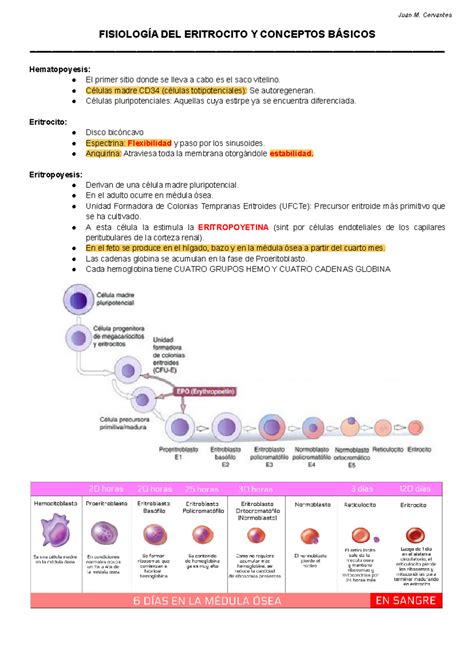 Manual Hematología 1 Copia FisiologÍa Del Eritrocito Y Conceptos