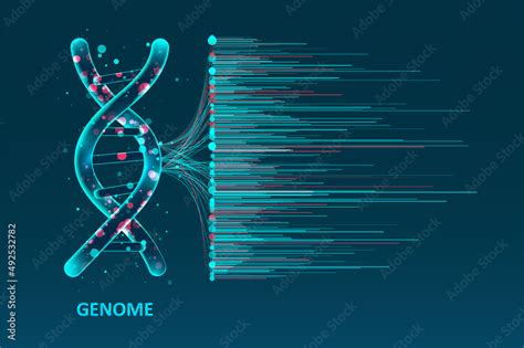Big Genomic Data Visualization Stock Vector Adobe Stock