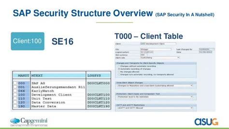 access ing your sap security data