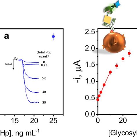 Calibration Curves And Amperometric Traces Recorded For The