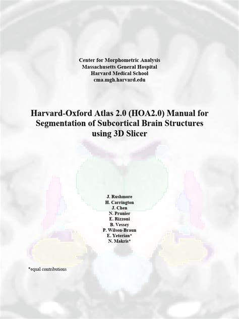Hoa Subcortical Brain Structure Segmentation Manual Pdf Brain