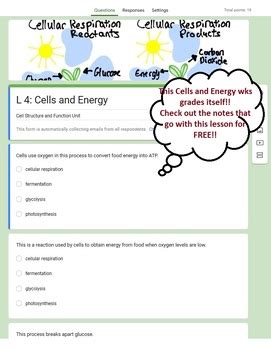 Cell Structure And Function Unit Bundle Google Forms JH Science