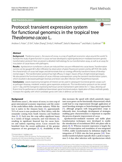 Pdf Protocol Transient Expression System For Functional Genomics In