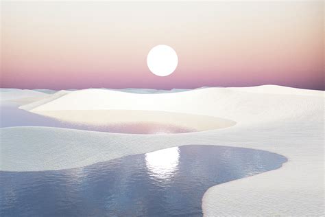Oasis