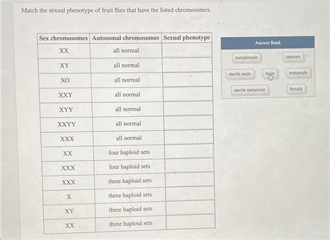 Solved Match The Sexual Phenotype Of Fruit Flies That Have Chegg Com