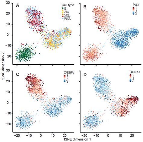 Accelerating Chromatin Mapping With Single Cell Atac Seq