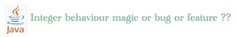 Java Integer Behaviour Magic Or Bug Or Feature