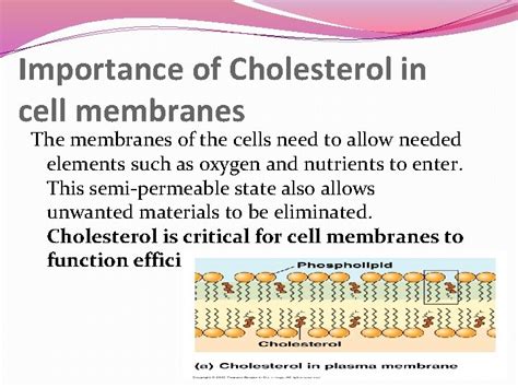 Cholesterol Outline Cholesterol Definition Cholesterol Structure Cholesterol Function