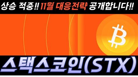 스택스코인 11월 대응전략 공개합니다 Youtube