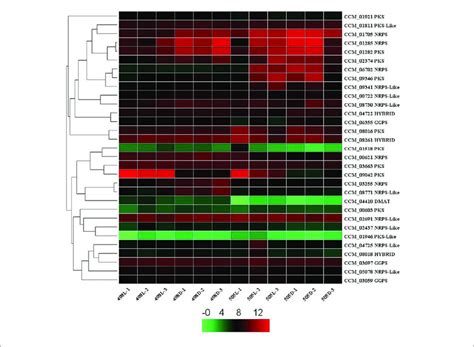 Expression Of Secondary Metabolite Backbone Synthesis Genes In Download Scientific Diagram