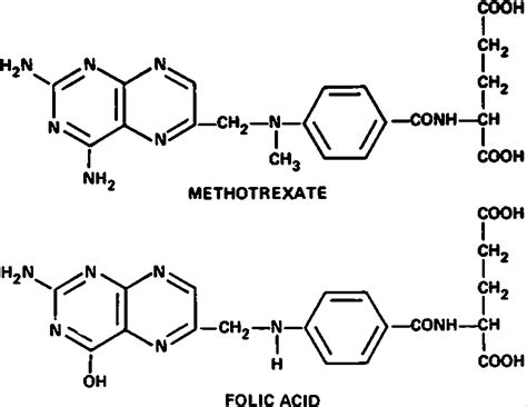 The Clinical Pharmacology Of Antineoplastic Agents First Of Two Parts