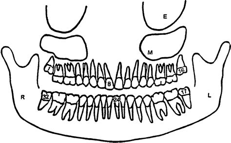 Label Parts Of A Microscope ClipArt Best